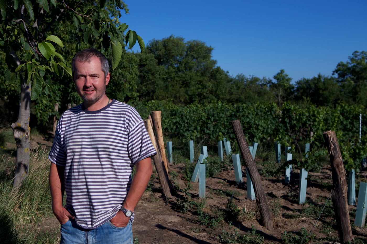 Pét-naty od Stávka, czyli wszystkie Ryśki to fajne chłopaki – Wine O ...